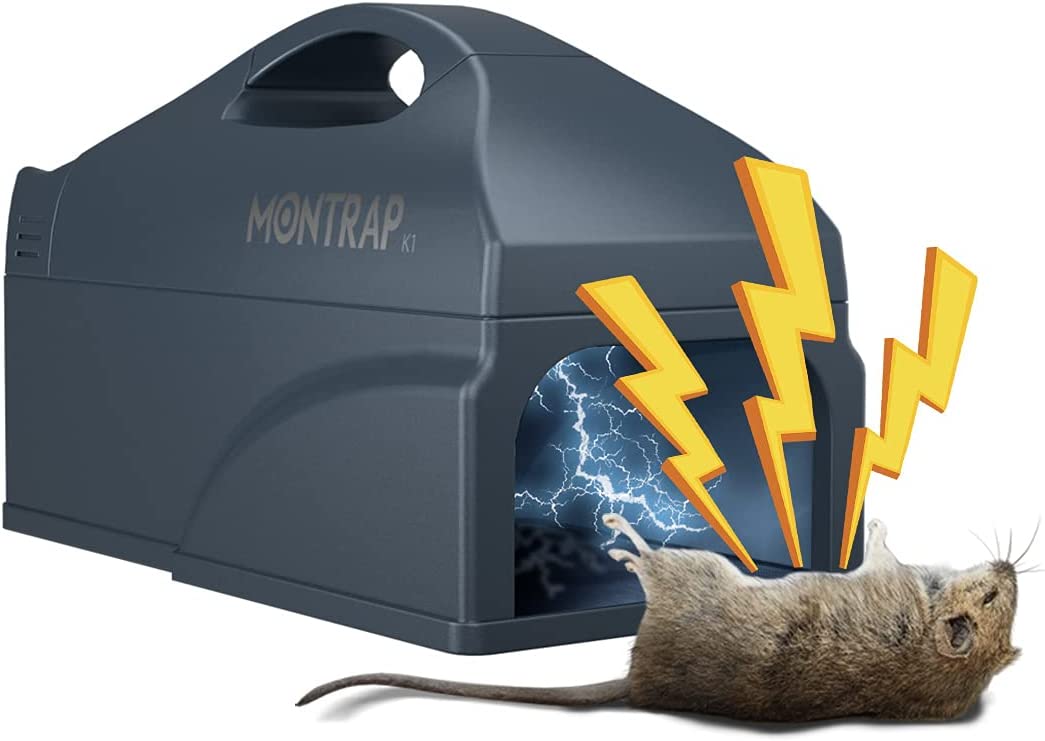 Trampas para ratones 🐭 | Efectivas | Ecónomicas | 🔴